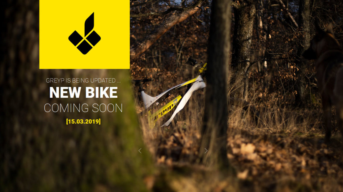 Greyp G6 ELECTRIC BIKE Details and Technology Explained by CEO Mate ...